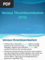 DVT: Acute vs Chronic Documentation | PDF | Thrombosis | Vein