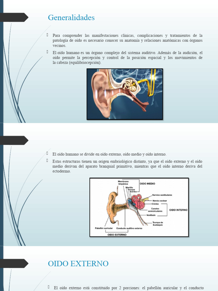 Anatomía y Fisiología del Oído Humano | PDF | Oído | Sistema Auditorio