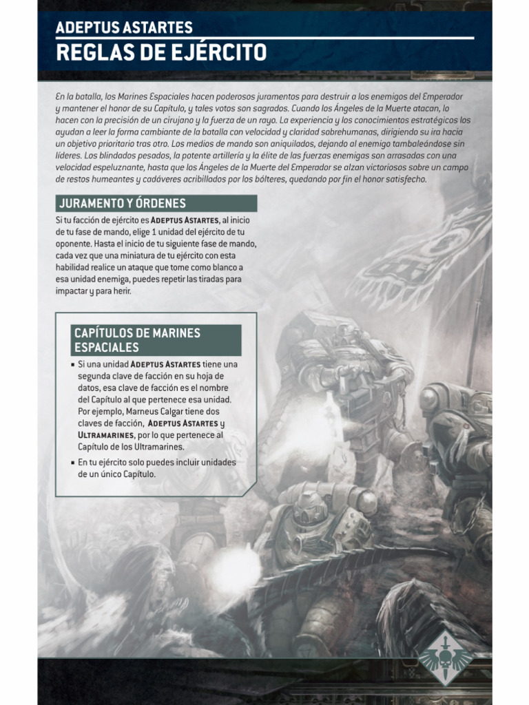Reglas Ejer | PDF