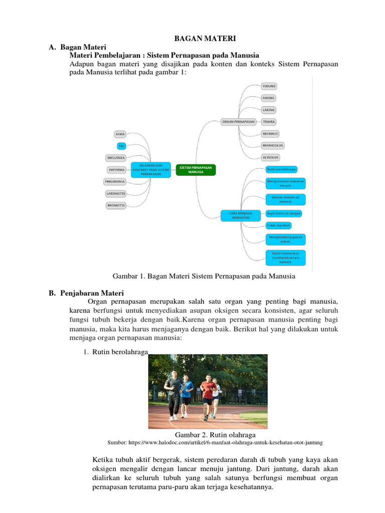 Bagan Materi Literasi Sains | PDF | Pengembangan Diri | Sains & Matematika