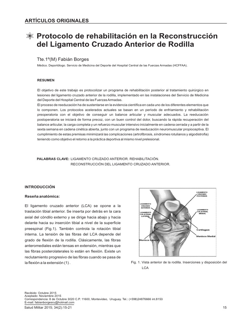 Protocolo LCA | Descargar gratis PDF | Rodilla | Extremidades (anatomía)