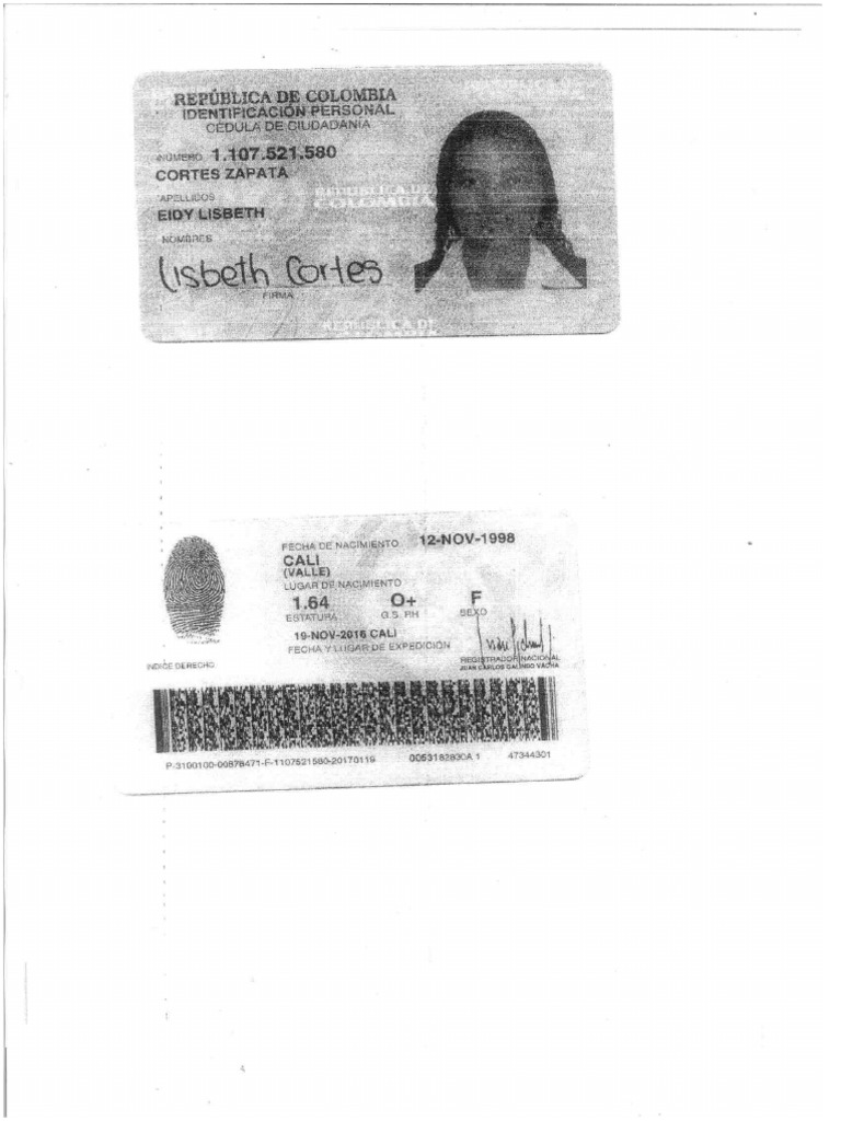 Cedula Lisbeth | PDF