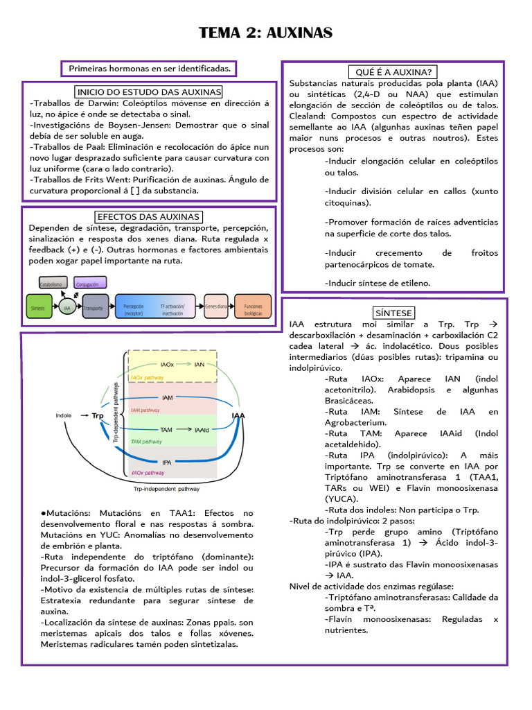 Tema 2 Auxinas | PDF