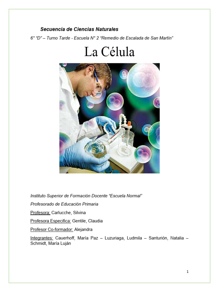 Secuencia Sexto | Descargar gratis PDF | Microscopio | Biología Celular)