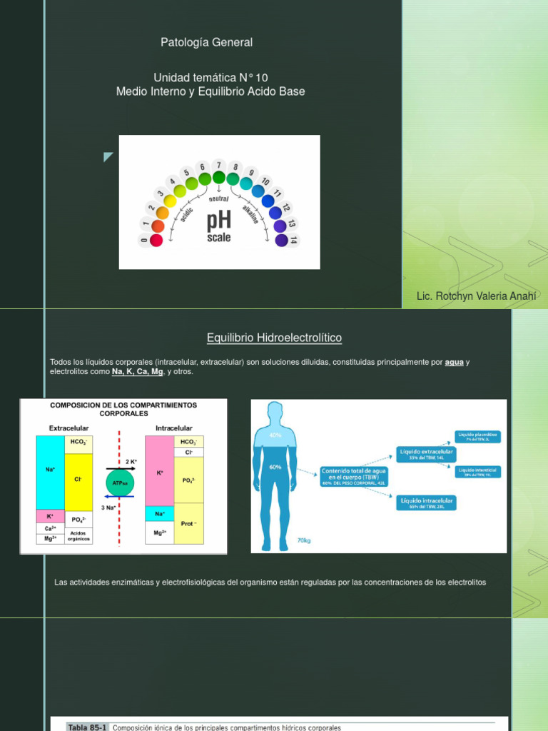 Acido Base PDF | PDF | Solución tampón | Medicina CLINICA