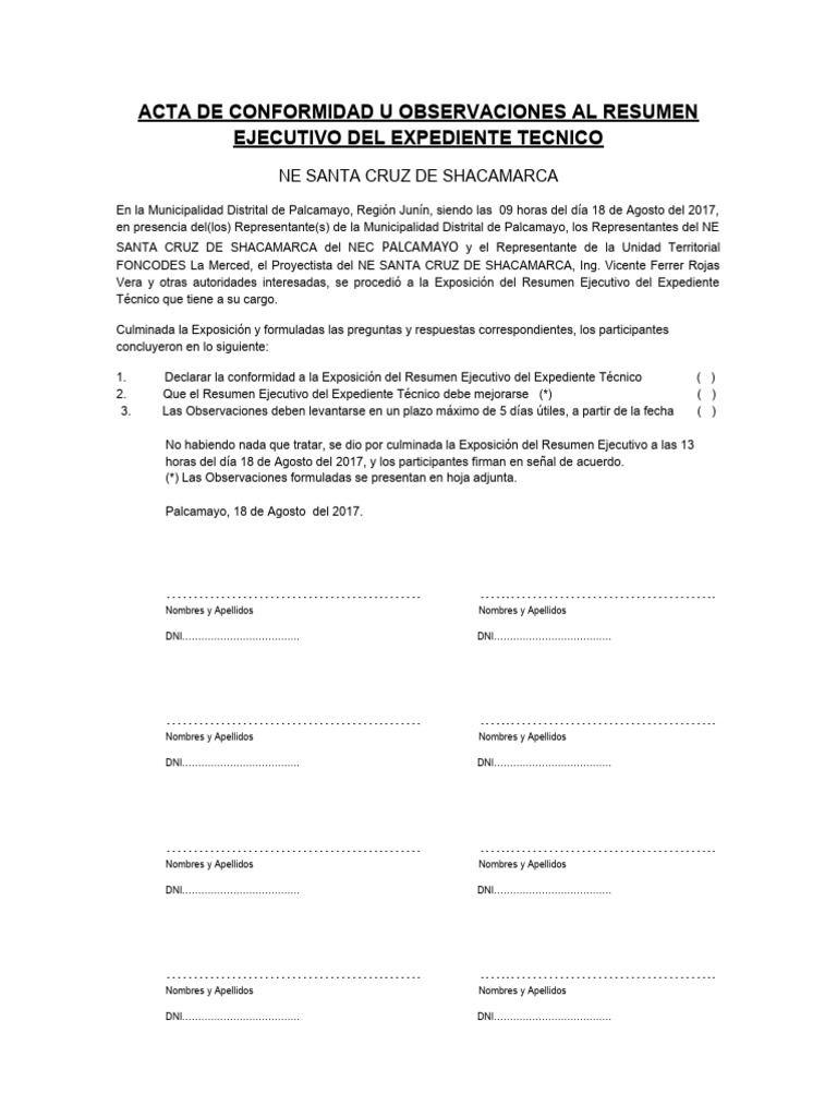 Acta de Conformidad U Observaciones Al Expediente Tecnico Palcamayo | PDF