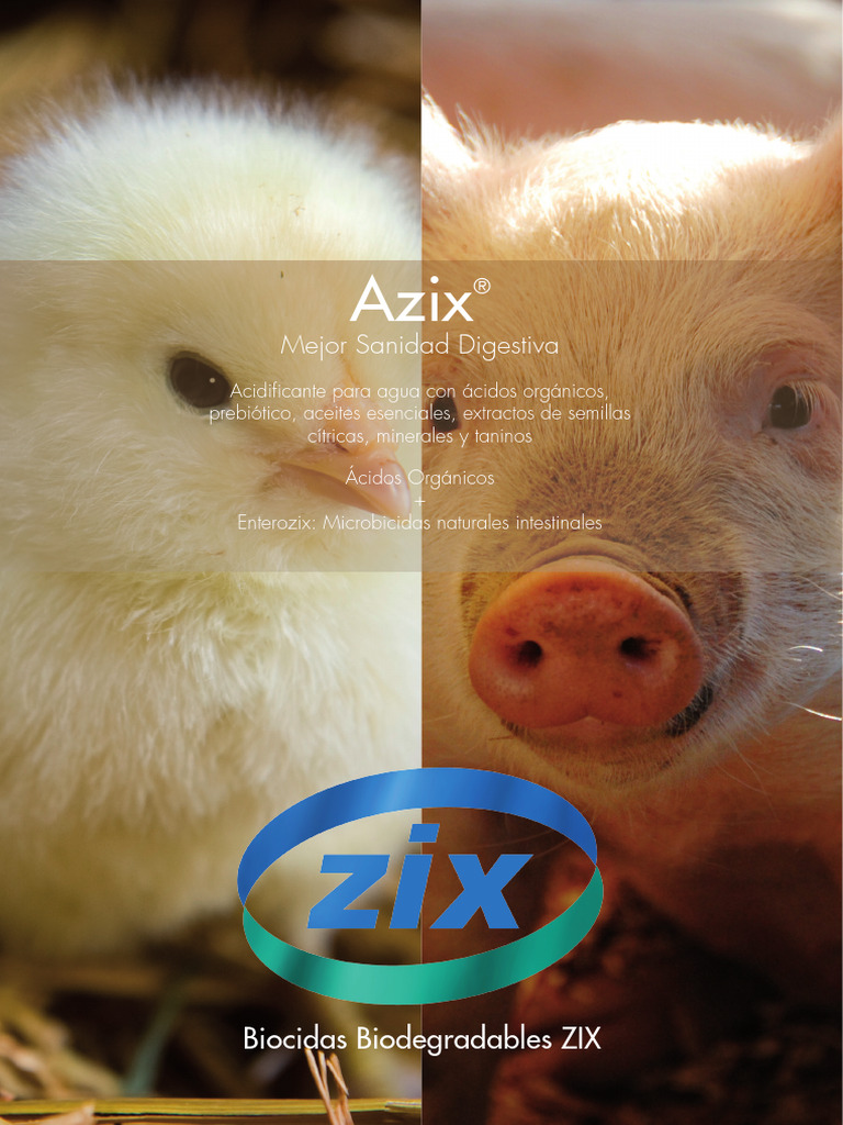 Azix Forte | PDF | Salmonela | Tracto gastrointestinal