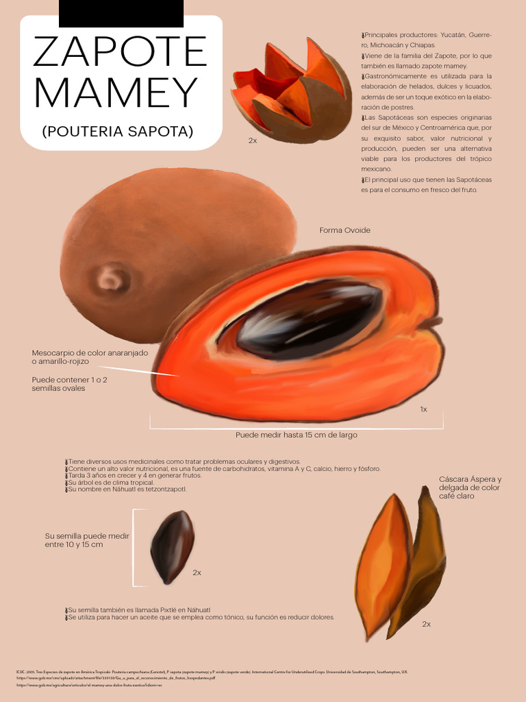 Cortez - Pamela - Zapote Mamey | PDF | Fruta | Plantas comestibles