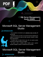 Guía Completa Cómo Ver Las Bases de Datos en SQL Server | PDF | Servidor SQL de Microsoft | SQL