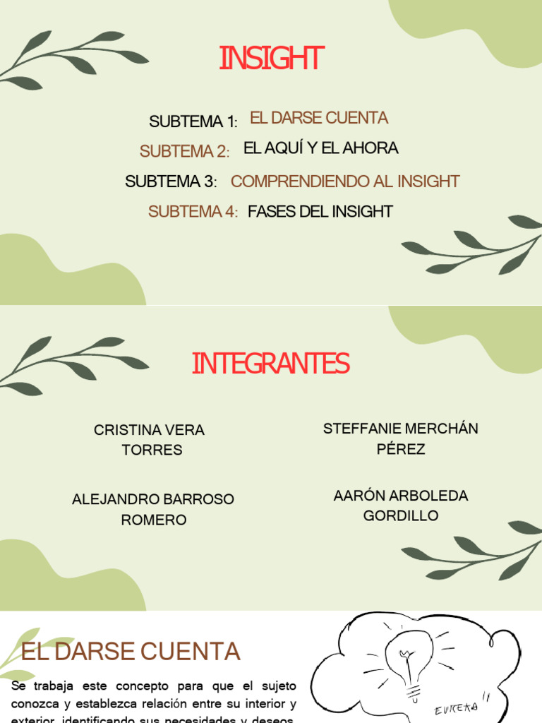 Fases del Insight y el Darse Cuenta | PDF