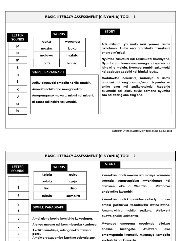 Cinyanja Literacy Assessment Tool Set 1-3 2024 | PDF | Written Communication | Cognition