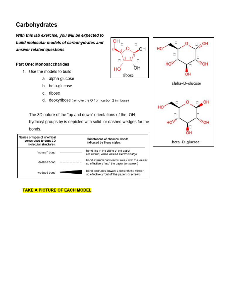 Modeling Carbohydrates Kit | PDF | Carbohydrates | Polysaccharide