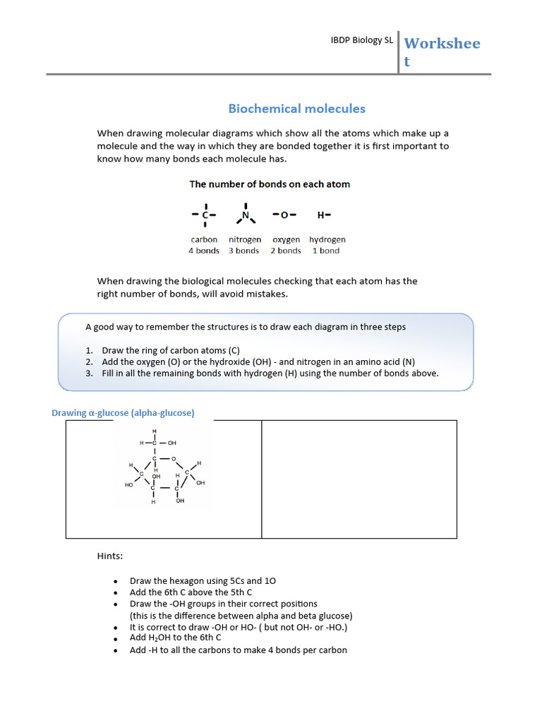 Drawing - Biological - Molecules - Worksheet - High School Biology ...