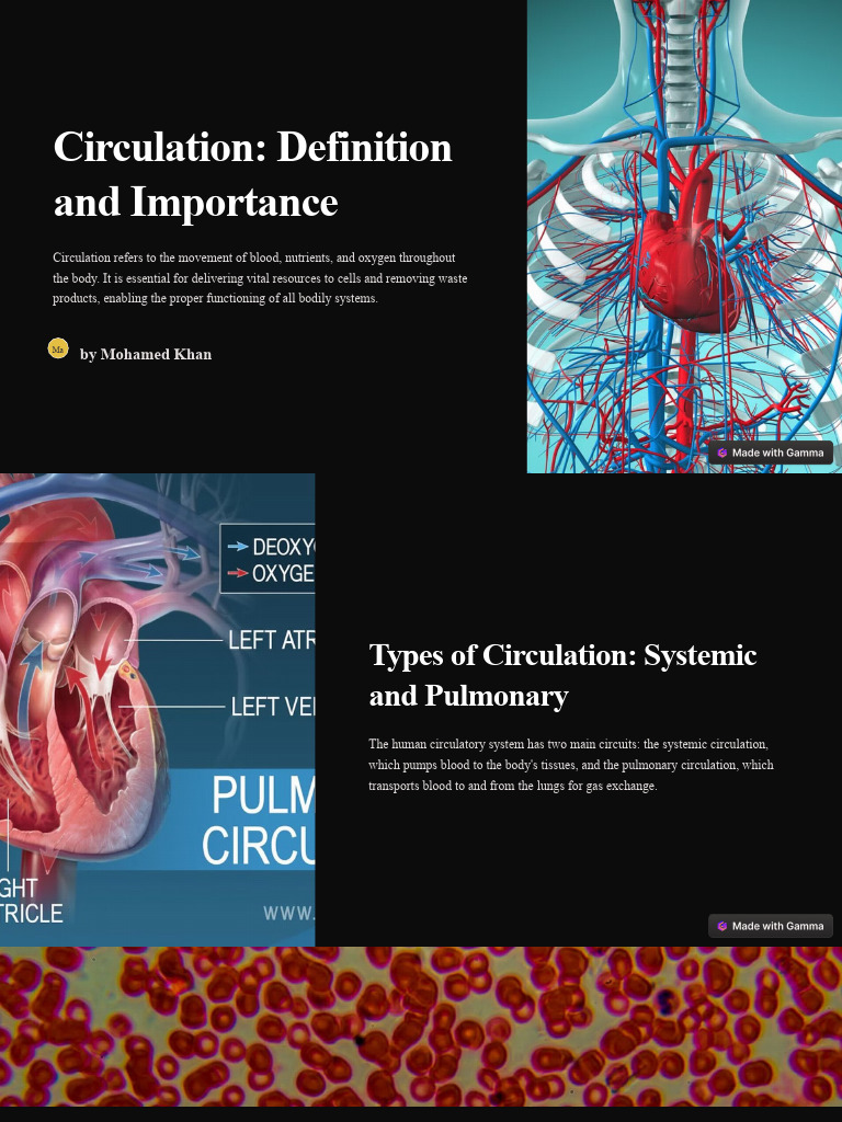 Circulation Definition and Importance | Download Free PDF | Blood ...