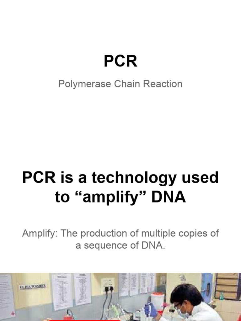 Polymerase Chain Reaction | PDF | Polymerase Chain Reaction | Primer ...