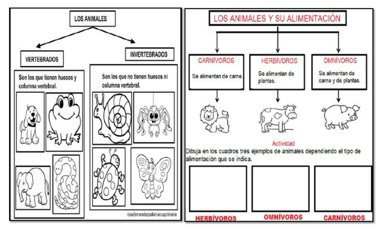 Animales Vertebrados e Invertebrados, Herbivoros, Carnivoros y ...