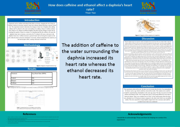 VCE New Scientific Poster Template (1) | PDF | Heart Rate | Caffeine