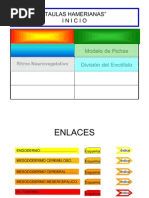 La Nueva Medicina Cuentos de Hamer Elisa Tiene Dolor de Garg | PDF | Biología | Medicina