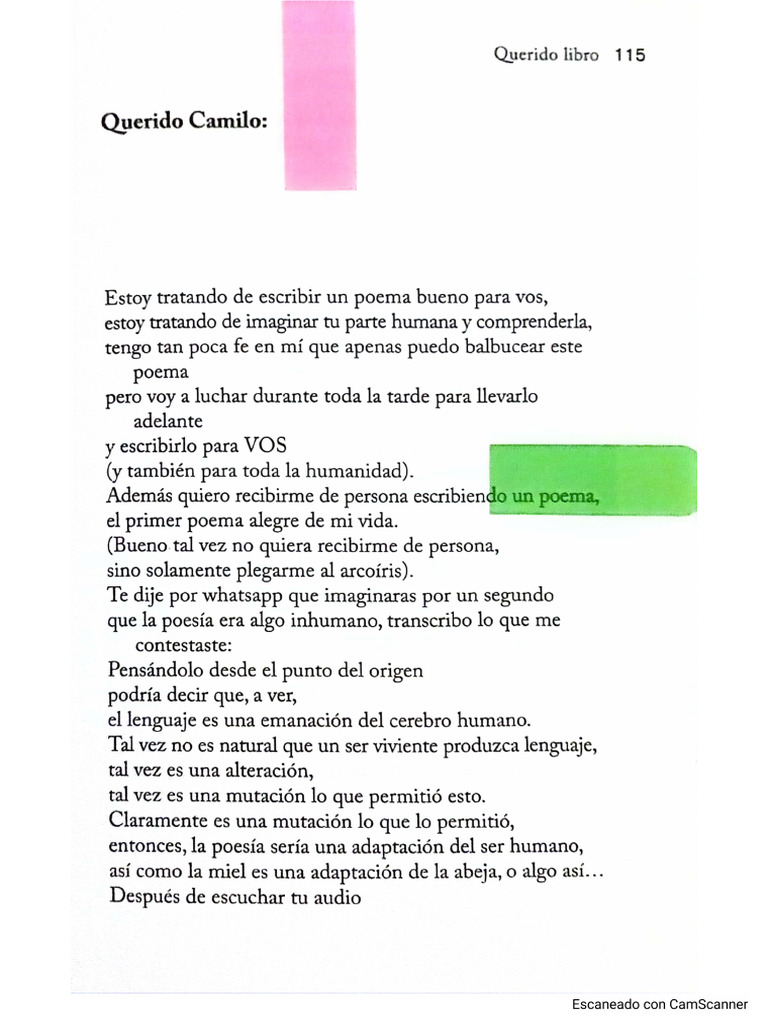 Cecilia Pavón - Querido Camilo | PDF