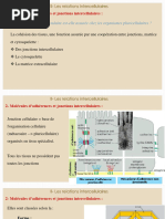 Jonctions Cellulaires et Fonctions | PDF | Membrane cellulaire | Biochimie