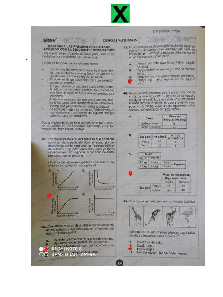 Icfes 2021 Oficial X | PDF