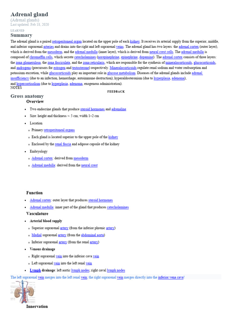 Endocrine | PDF | Adrenal Gland | Luteinizing Hormone