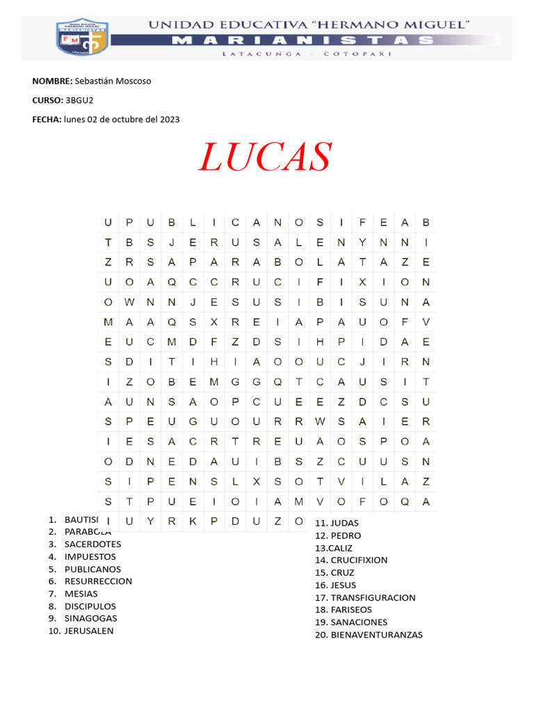 Sopa de Letras Lucas | PDF | Ciencias sociales