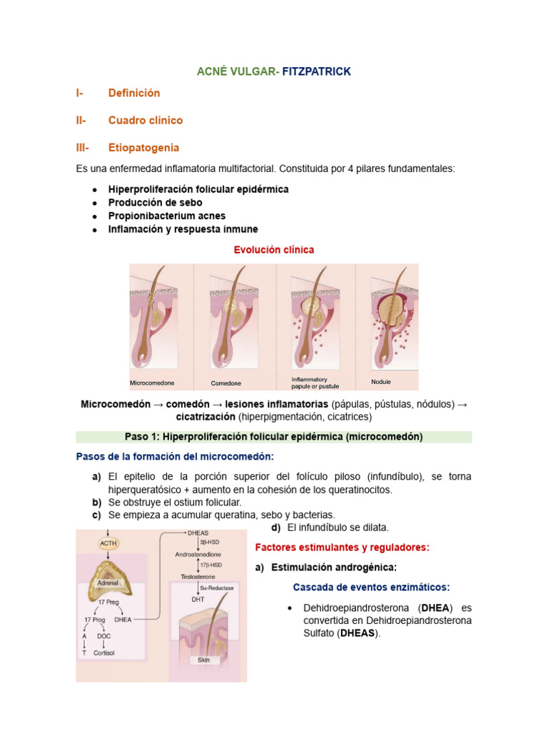 Resumen Acné Fitzpatrick | PDF | Inflamación | Sistema inmune innato