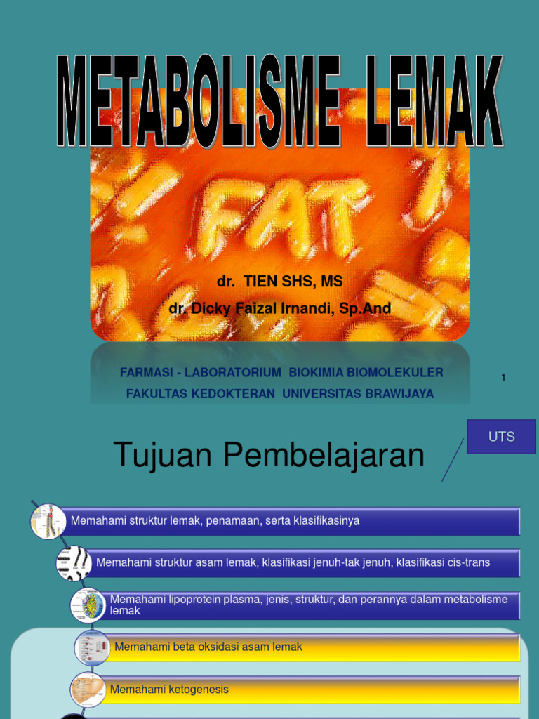 Metabolisme Lemak 2 | PDF