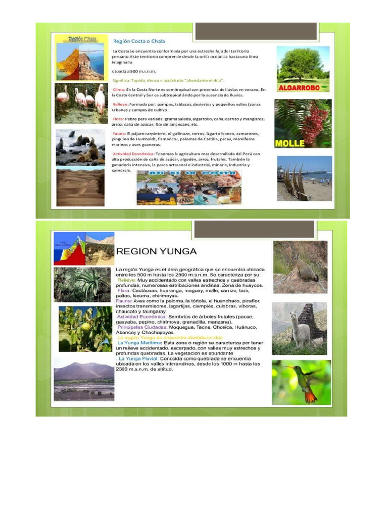 Region 12 | PDF