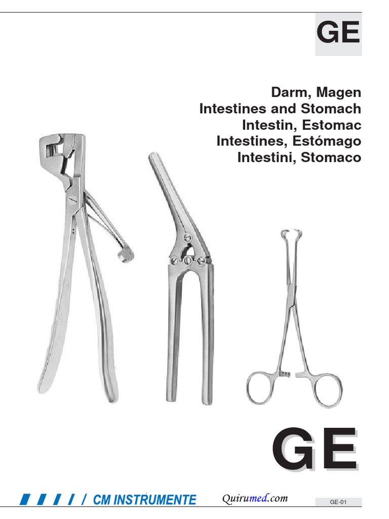Intestinos Estomago | PDF | Anatomía | Biología Intestinos Estomago | PDF | Anatomía | Biología