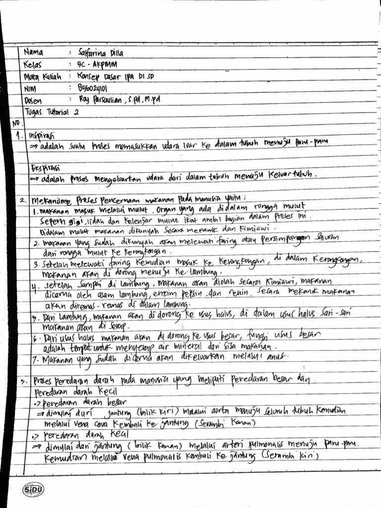 TT2 IPA SALFARINA DILLA | PDF