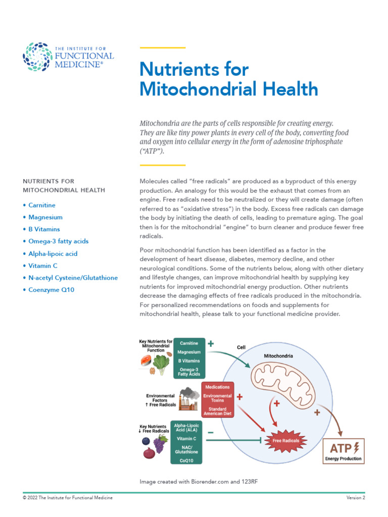 Nutrients For Mitochondrial Health | PDF | Omega 3 Fatty Acid ...