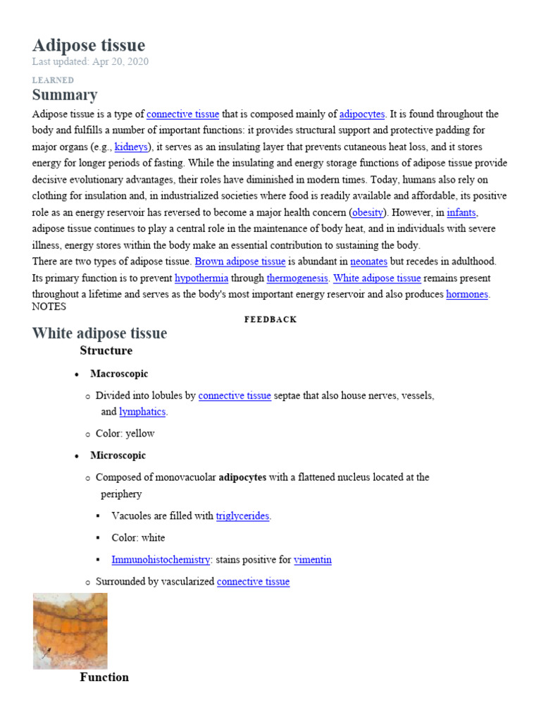 Adipose Tissue | PDF | Adipose Tissue | Mitochondrion Adipose Tissue | PDF | Adipose Tissue | Mitochondrion