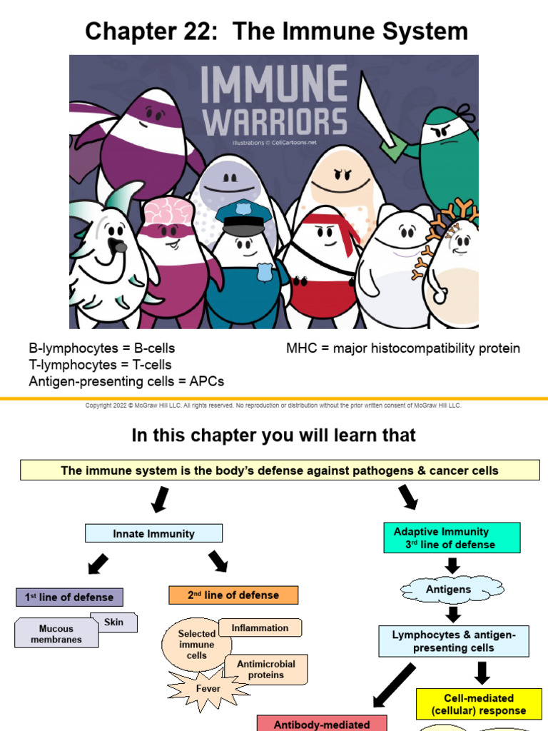 Student Copy-2024 Lecture 5-Ch. 22 - Immunity Slides 1-24 | PDF ...