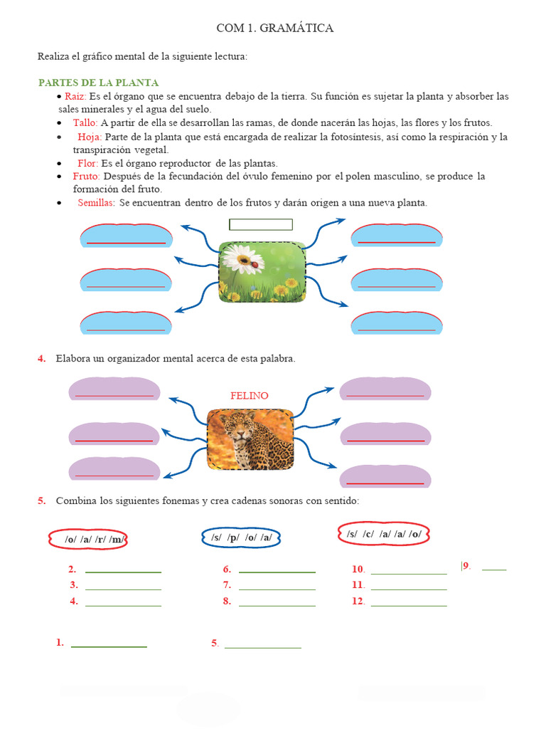 Com 1. Gramatica | PDF