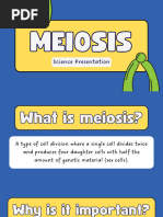 Meiosis: PMAT Stages Explained | PDF