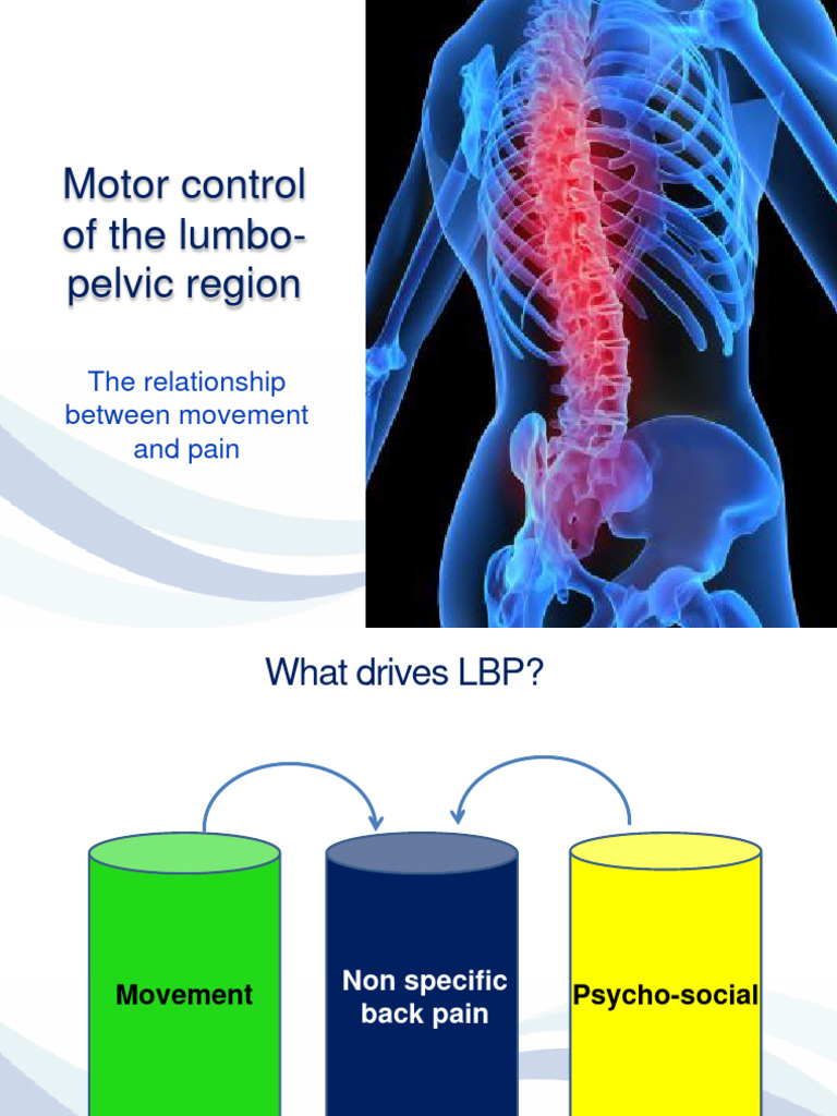 Motor Control and Low Back Pain Insights | PDF | Low Back Pain | Back Pain