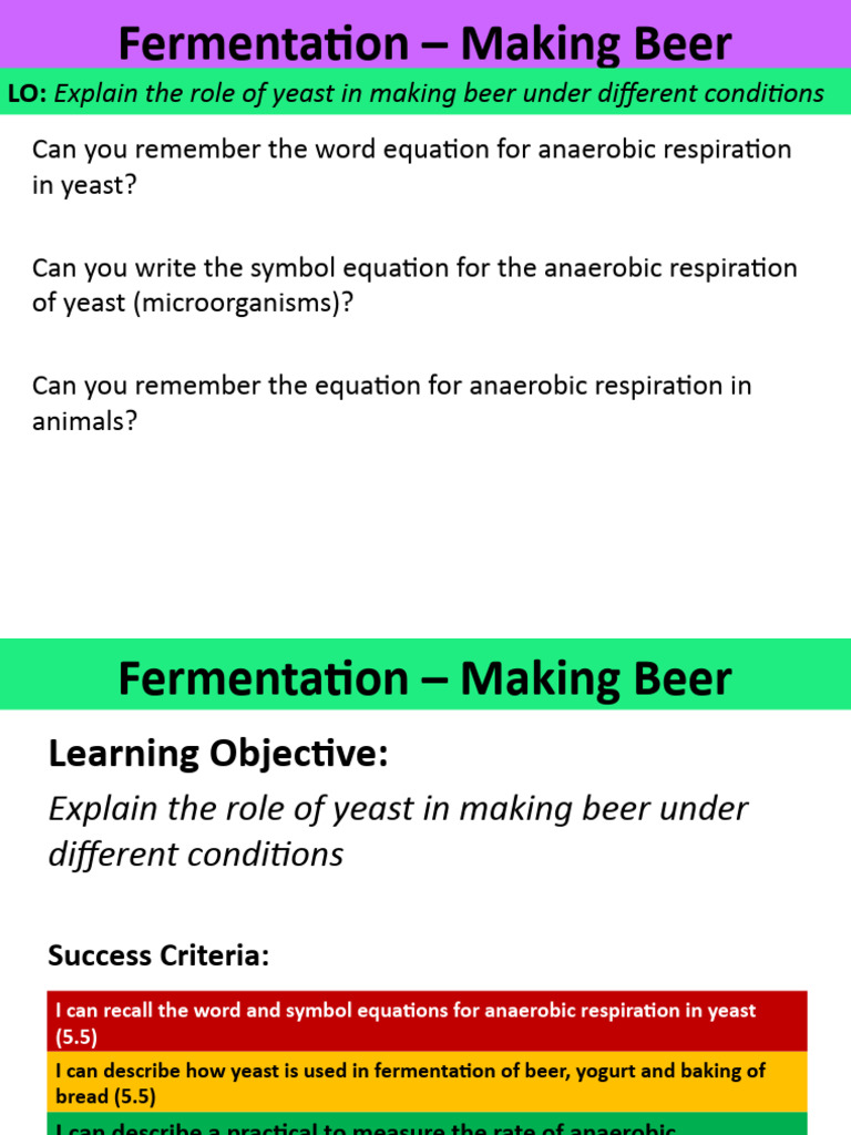 Yeast's Role in Beer Fermentation | PDF | Fermentation | Cellular ...