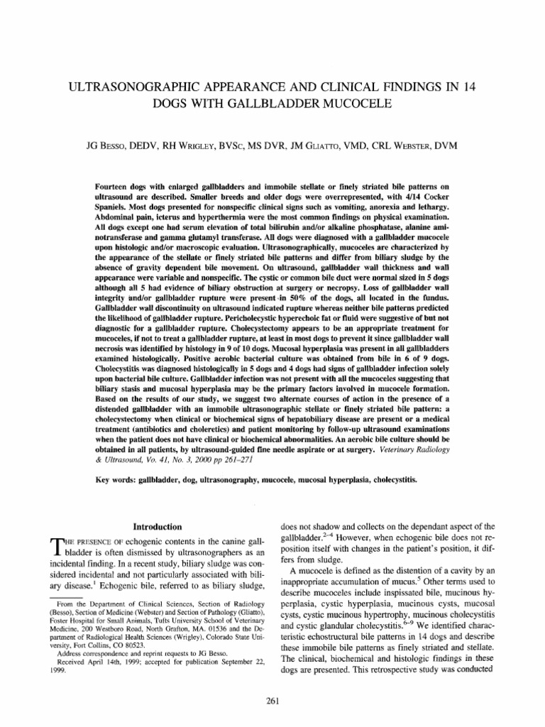 Vet Radiology Ultrasound - 2005 - Besso - ULTRASONOGRAPHIC APPEARANCE AND CLINICAL FINDINGS IN ...