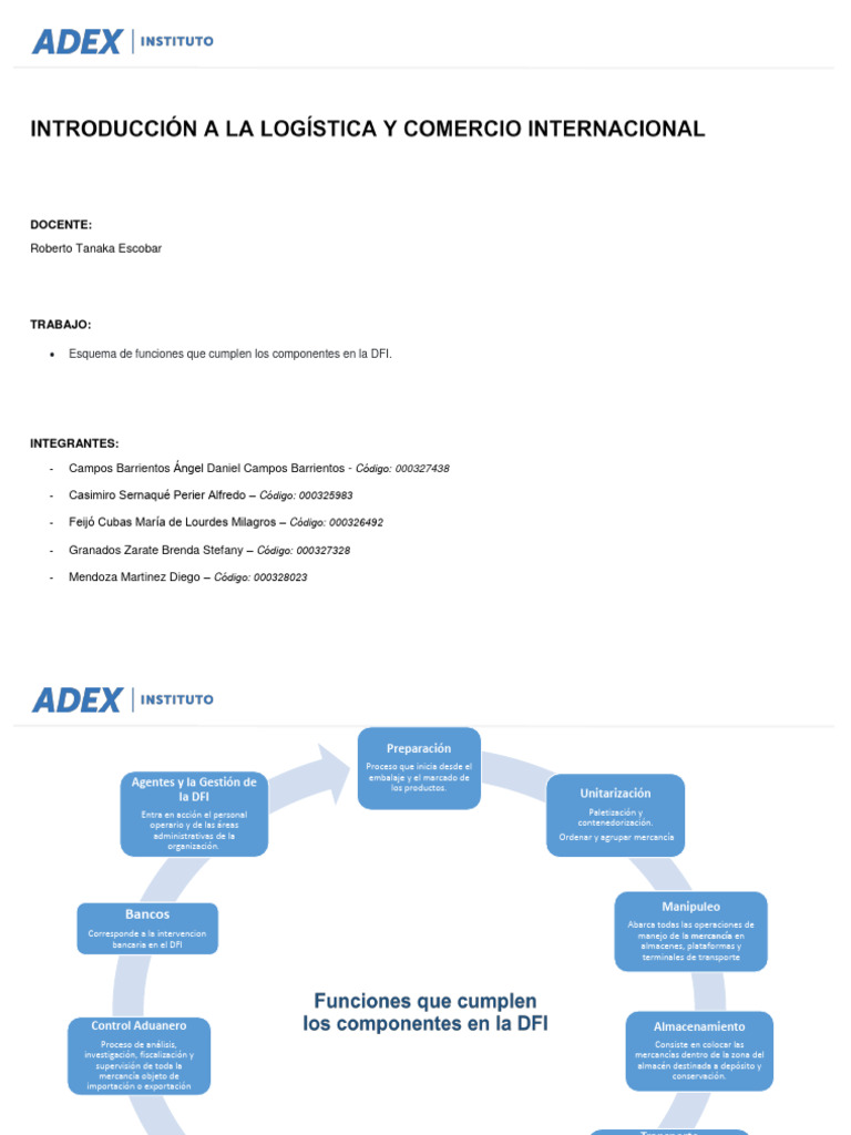 Esquema de Las Funciones Que Cumplen Los Componentes en La DFI. | PDF ...