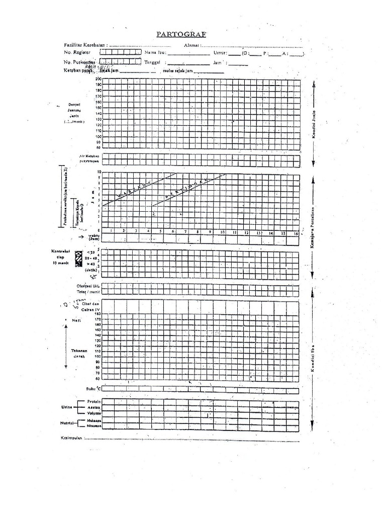 Partograf | PDF