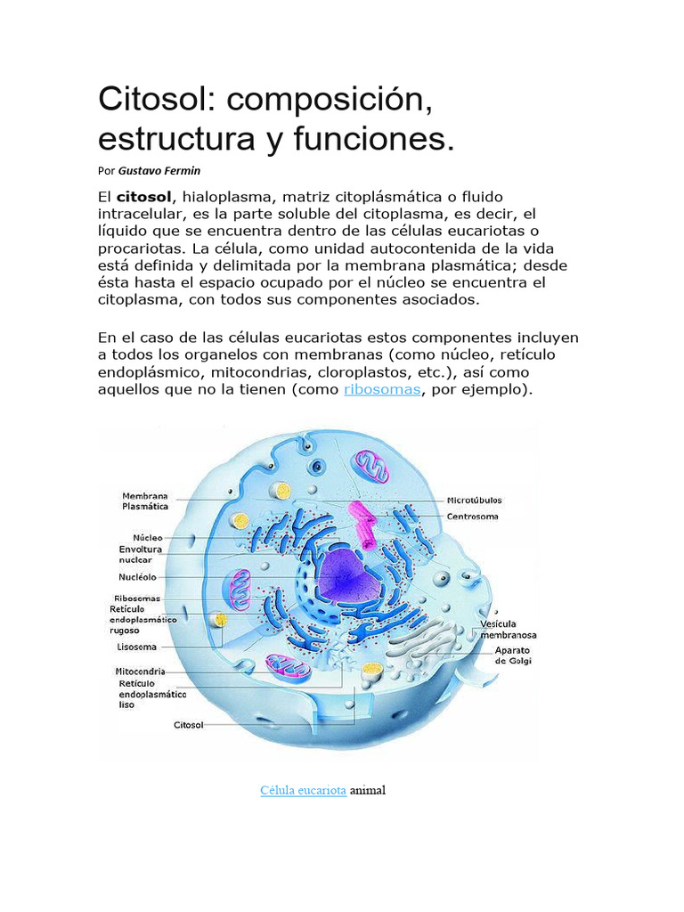 Citosol o Hialoplasma | PDF | Citosol | Citoplasma