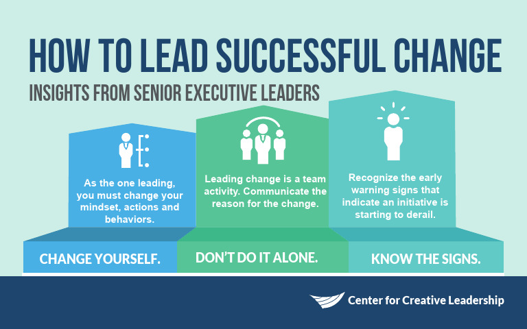 How To Lead Successful Change: Insights From Senior Executive Leaders | PDF