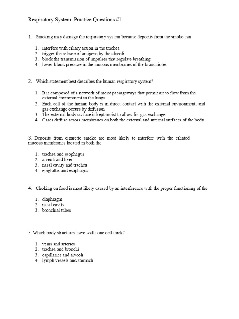 Respiratory System Practice Questions | PDF | Respiratory System ...