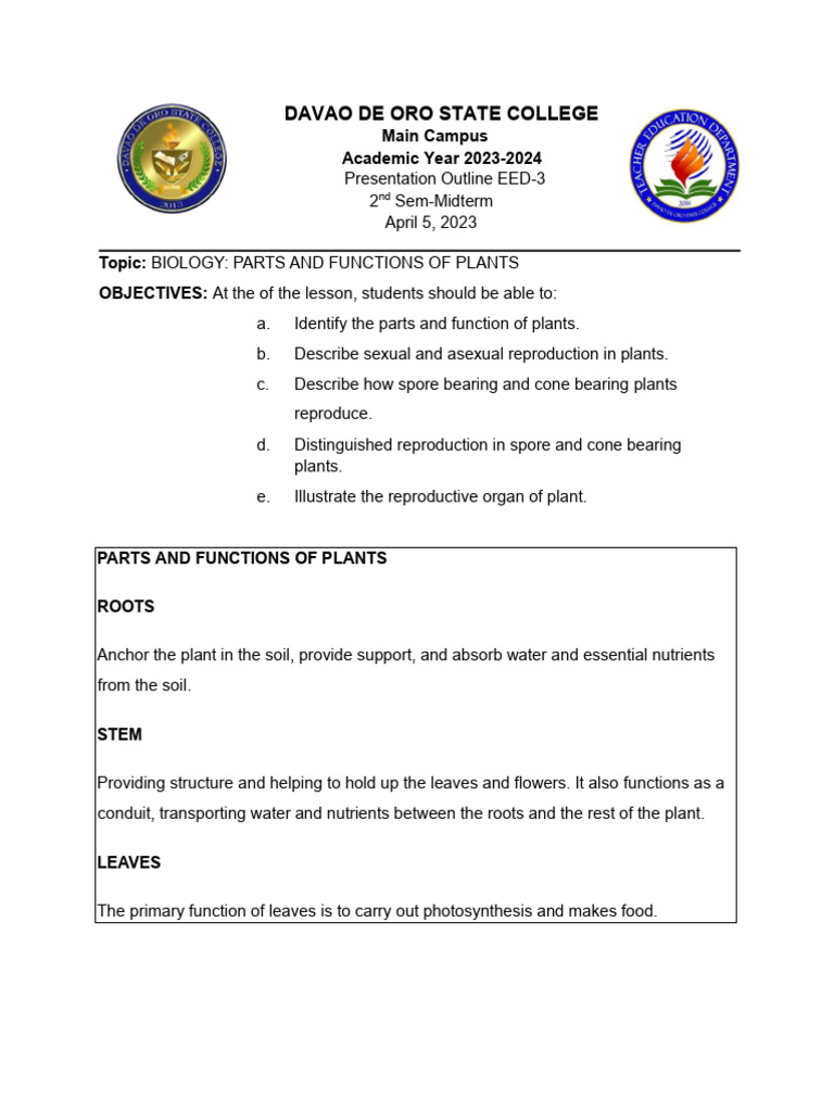 Group 2 Science - Outline - Presentation 1 1 | PDF | Plant Reproduction ...