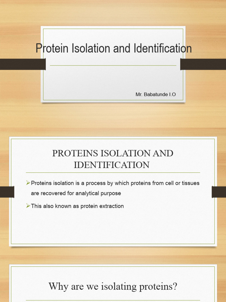 Protein Isolation and Identification | PDF | Protein Purification | Proteins