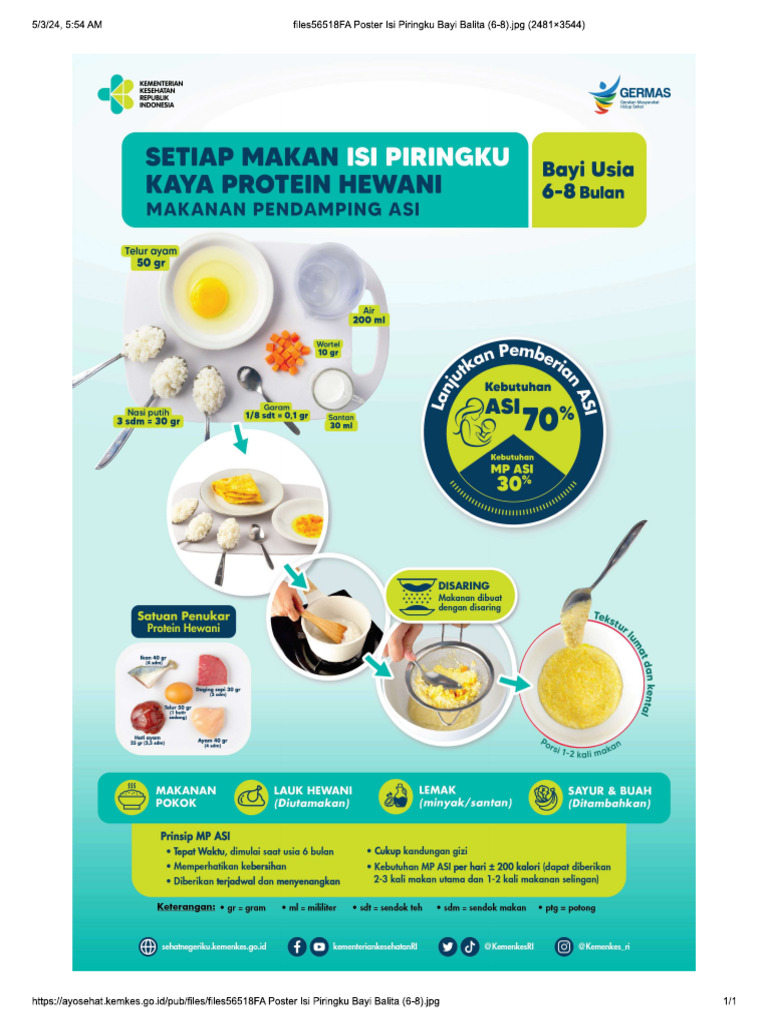 kemenkes mpasi | PDF