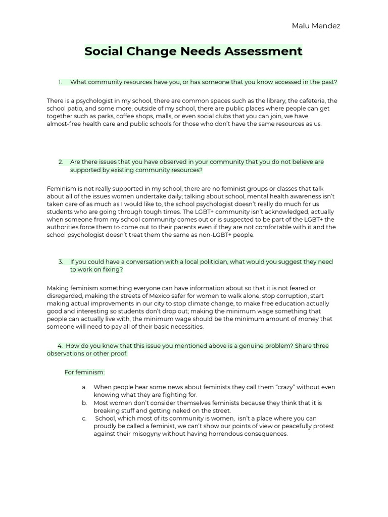 Social Change Needs Assessment | PDF | Grammatical Gender | Feminism