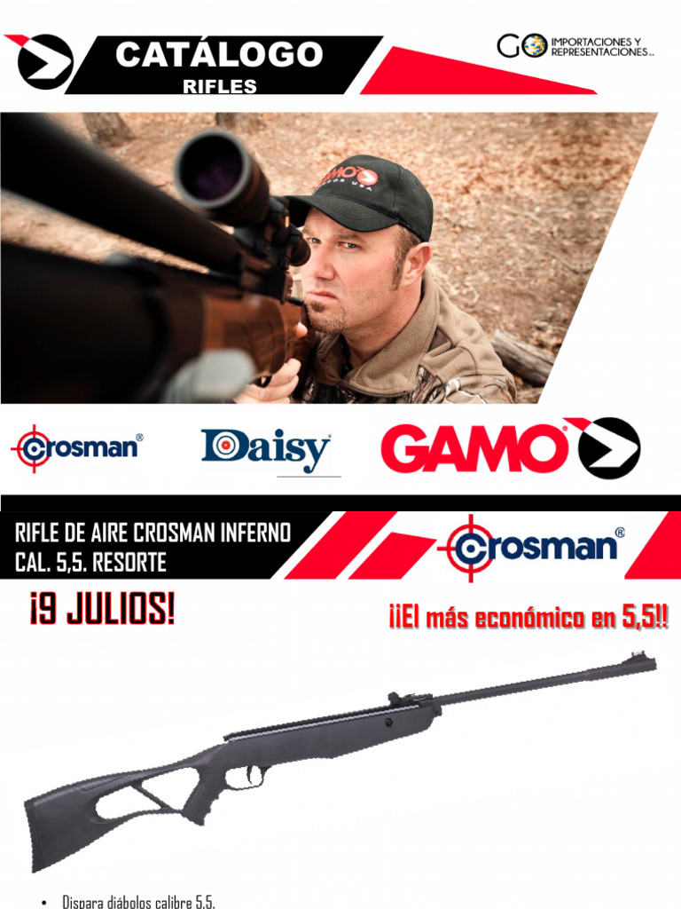 Catálogo Rifles de Aire FEB 24 | Descargar gratis PDF | Rifle | Armas ...